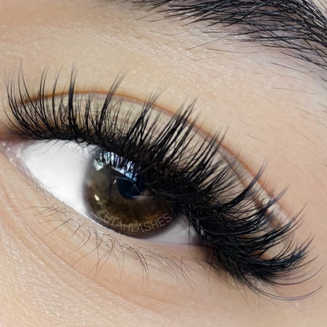 .20 Flat Lashes (for wet lash or spikes) – Lash Sisterhood